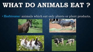 Food: Where does it come from? Class 6th Chapter-1 Science | PPTX