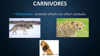 Food: Where does it come from? Class 6th Chapter-1 Science | PPTX