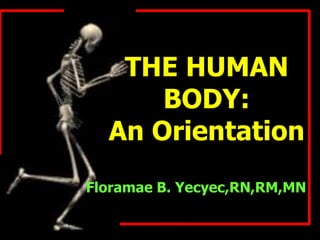 Chapter 1. the human body an orientation | PPT