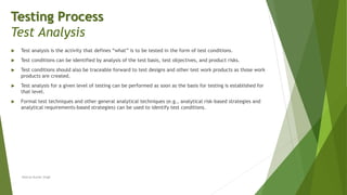 Chapter 1 - Testing Process | PDF