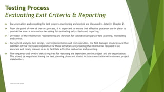 Chapter 1 - Testing Process | PDF