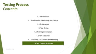 Chapter 1 - Testing Process | PDF