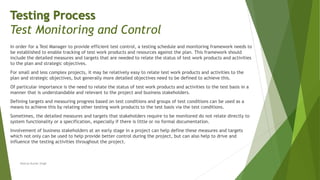 Chapter 1 - Testing Process | PDF