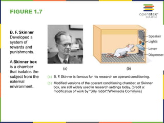 Chapter 1psychology | PPT