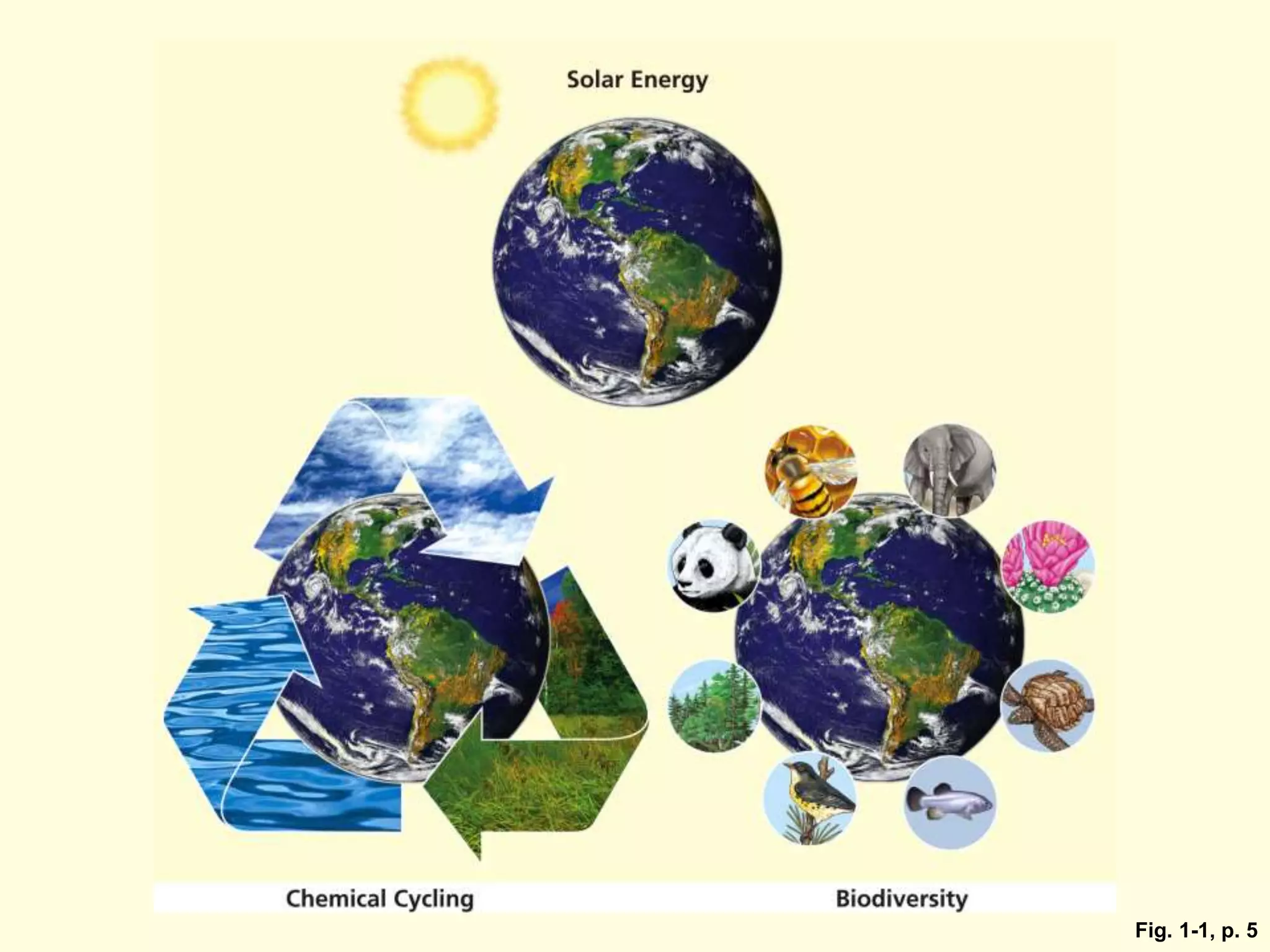 chapter1.ppt | Environmental Services Industry | Industries