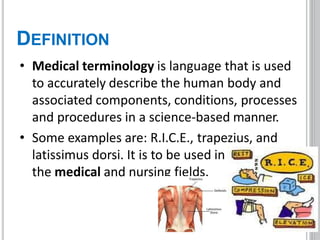 introduction to medical terminology pptx | PPTX | Lung and Respiratory ...