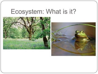 chapter_1.pptx | Geography | Science