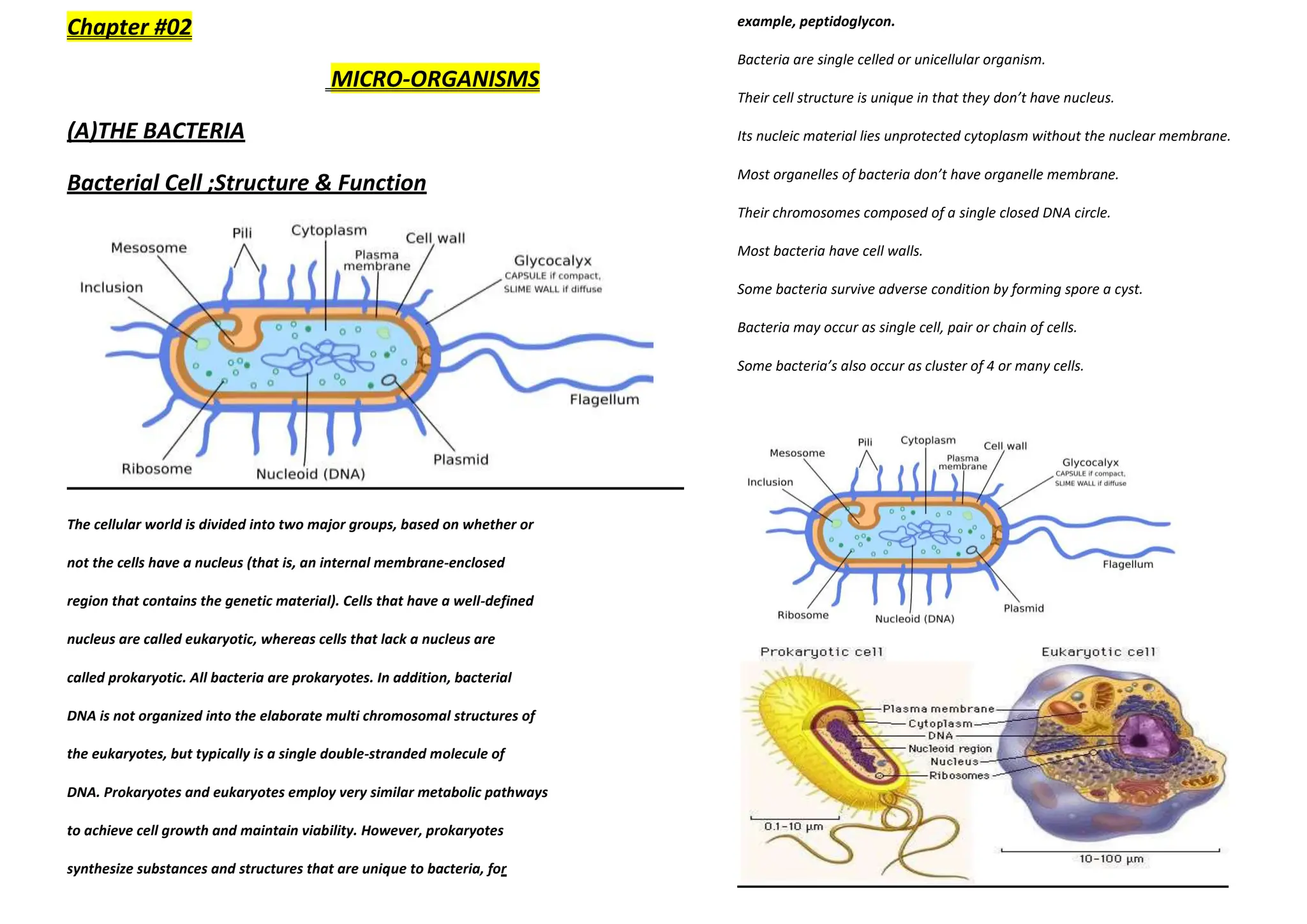 CHAPTER 1.docx Microbiology for 2nd year pharm d | DOCX