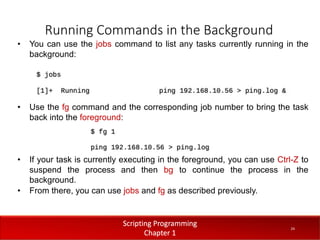 Chapter 1: Introduction to Command Line | PDF