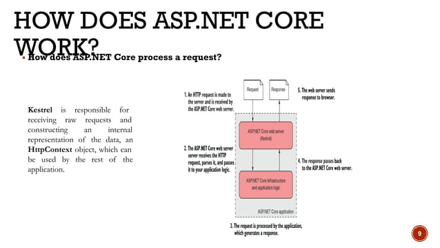 introduction to asp.net core lebanese university.pptx introduction to asp.net core lebanese university.pptx