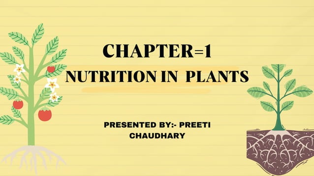 nutrition in plants chapter 1 class 7... | PDF