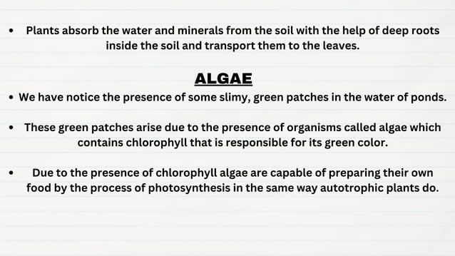 nutrition in plants chapter 1 class 7... | PDF