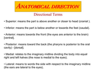 Chapter one of anatomy & physiology according to openstax college | PPT