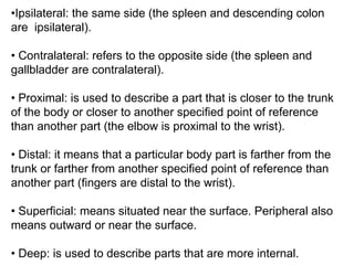 Chapter one of anatomy & physiology according to openstax college | PPT