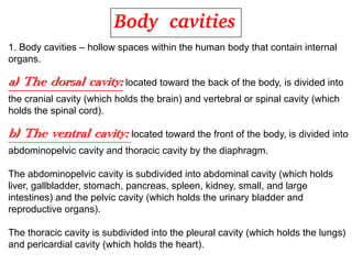 Chapter one of anatomy & physiology according to openstax college | PDF