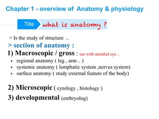 Chapter one of anatomy & physiology according to openstax college | PPT