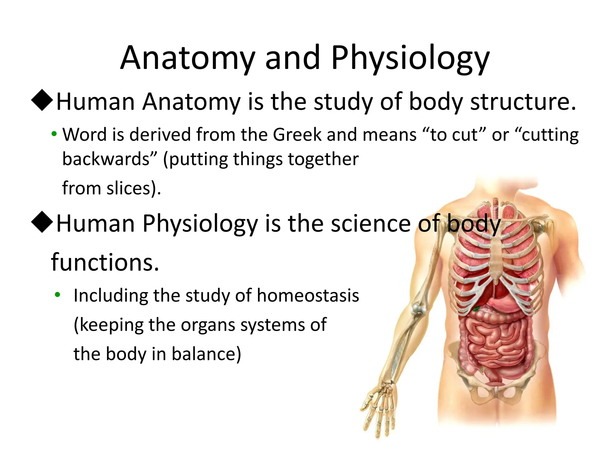 Chapter 1.1 Introduction to Human Anatomy & Physiology.pdf