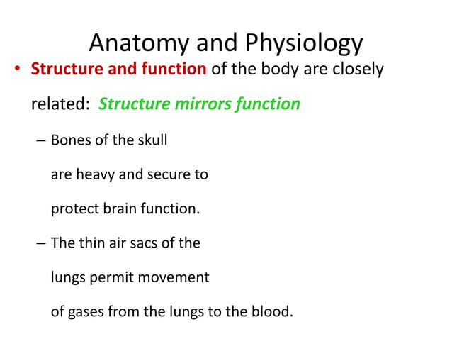 Chapter 1.1 Introduction to Human Anatomy & Physiology.pdf