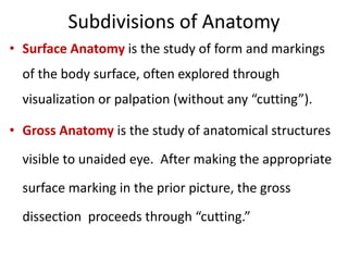 Chapter 1.1 Introduction to Human Anatomy & Physiology.pdf