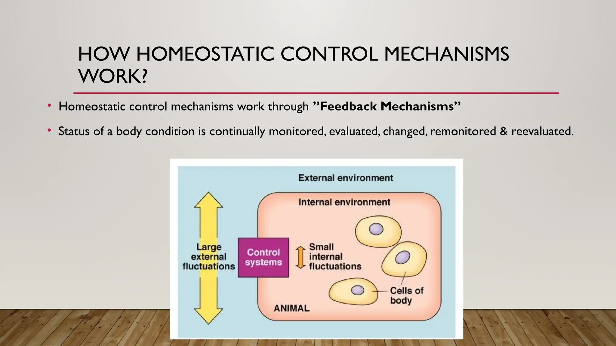 Chapter 1.2 Homeostasis and Biological Control Systems.pptx