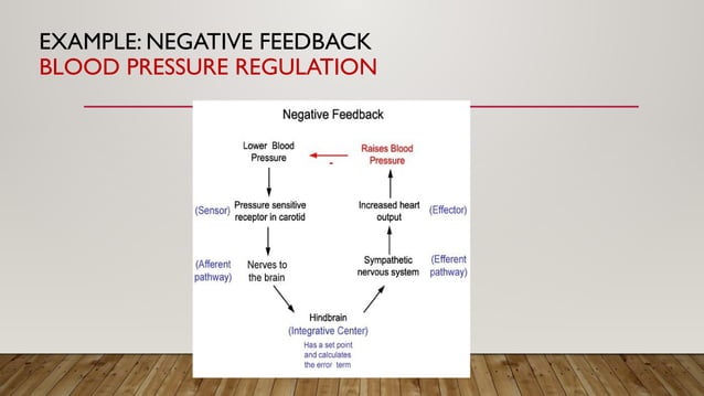 Chapter 1.2 Homeostasis and Biological Control Systems.pptx