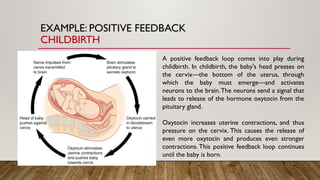 Chapter 1.2 Homeostasis and Biological Control Systems.pptx