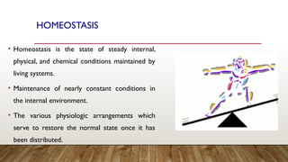 Chapter 1.2 Homeostasis and Biological Control Systems.pptx