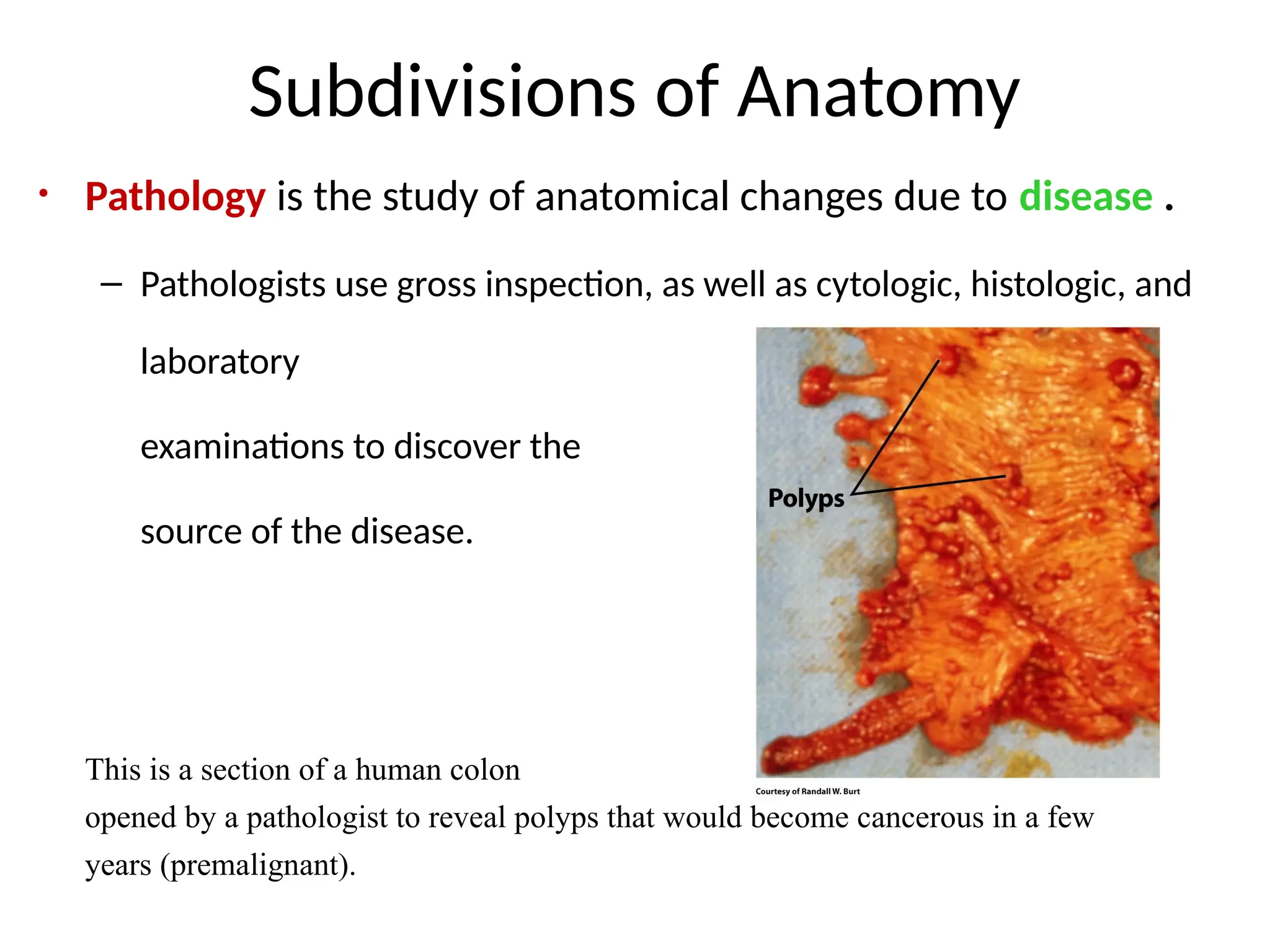 Chapter 1.1 Introduction to Human Anatomy & Physiology.pptx