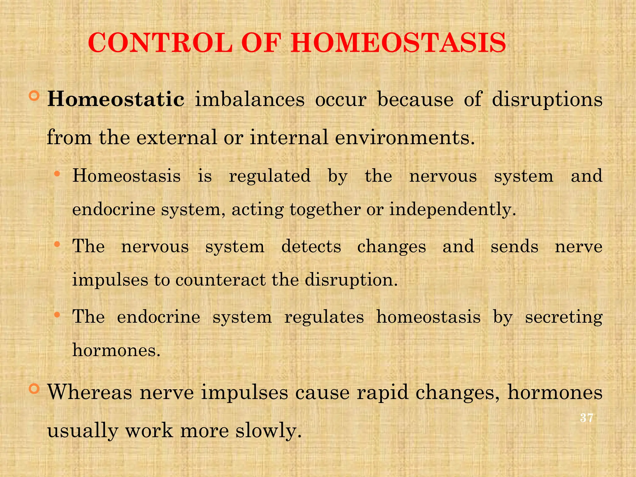 Chapter 1.1 Introduction to Human Anatomy & Physiology.pptx