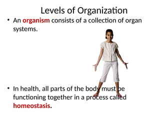 Chapter 1.1 Introduction to Human Anatomy & Physiology.pptx