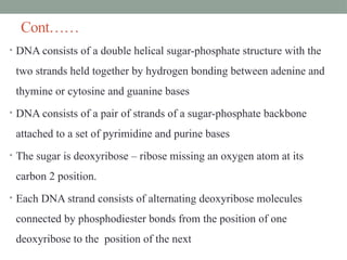 chapter introduction to molecular genetics 1.pptx