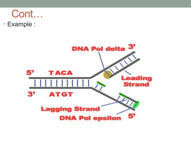 chapter introduction to molecular genetics 1.pptx