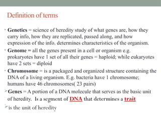 chapter introduction to molecular genetics 1.pptx