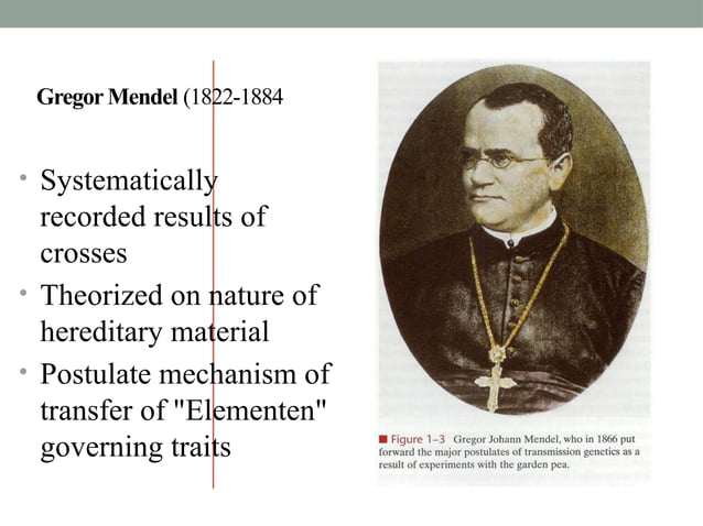chapter introduction to molecular genetics 1.pptx