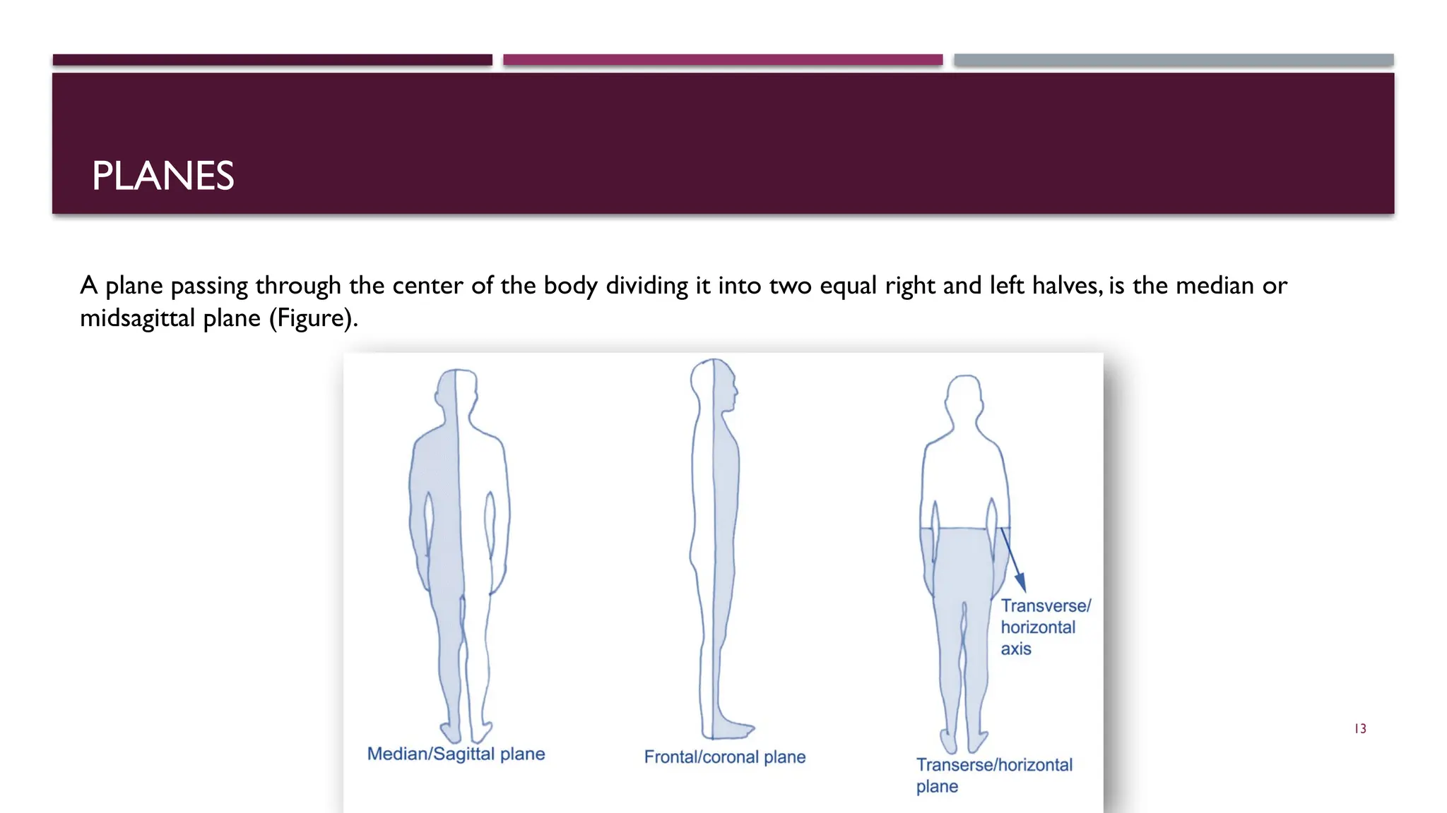 Chapter 1- Scope of anatomy, physiology and basic terminologies used in ...
