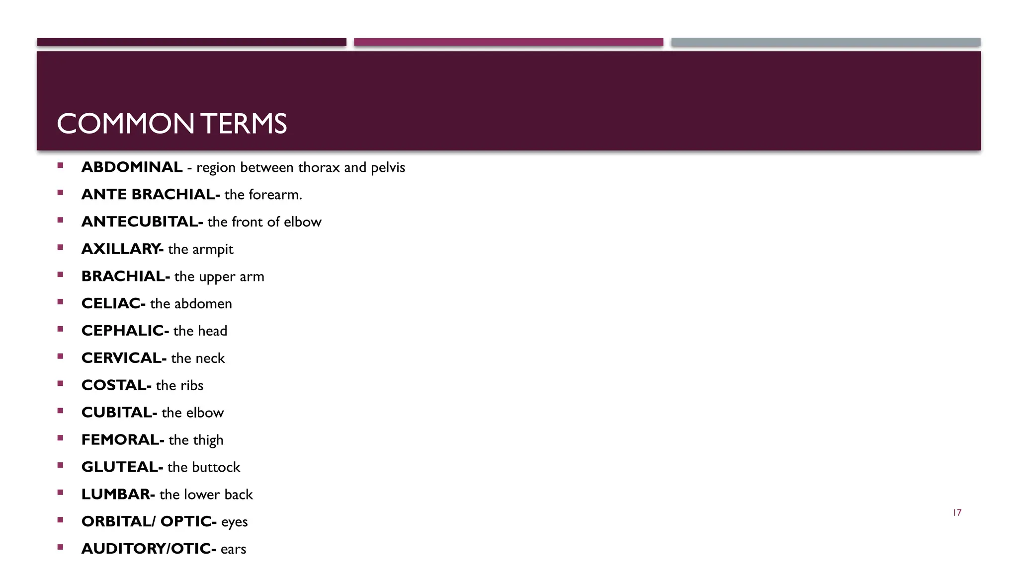 Chapter 1- Scope of anatomy, physiology and basic terminologies used in ...