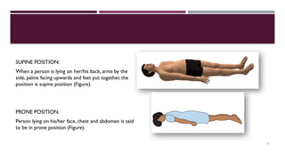 Chapter 1- Scope of anatomy, physiology and basic terminologies used in ...