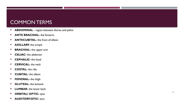 Chapter 1- Scope of anatomy, physiology and basic terminologies used in ...