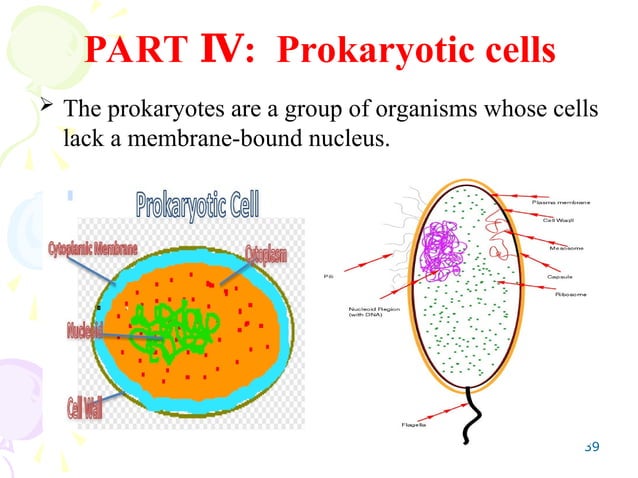chapter1-2 introduction to cell biology.ppt