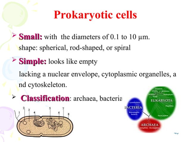 chapter1-2 introduction to cell biology.ppt