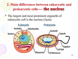 chapter1-2 introduction to cell biology.ppt