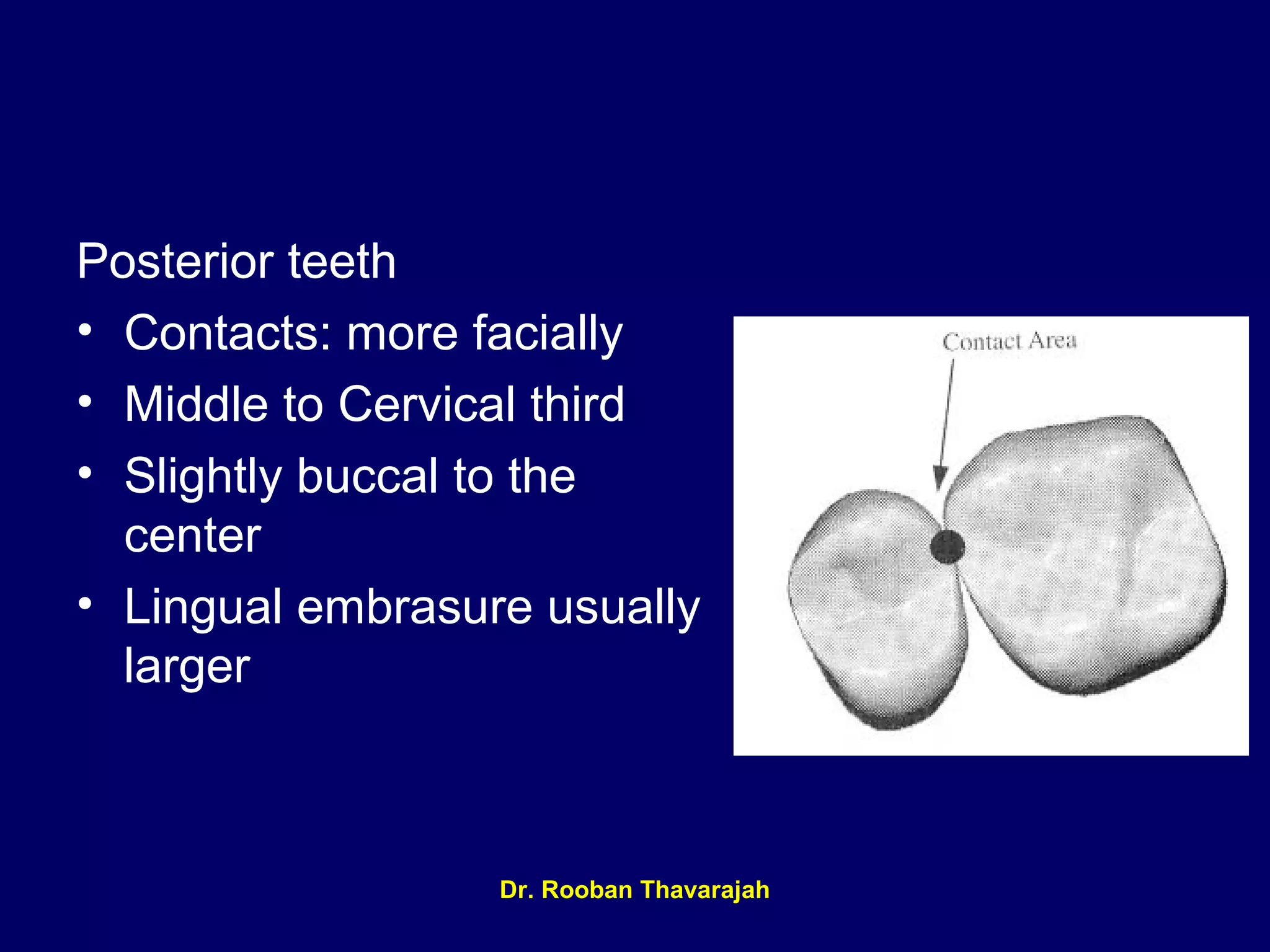 Tooth Morphology - Chapter 1; Part 4 | PPT