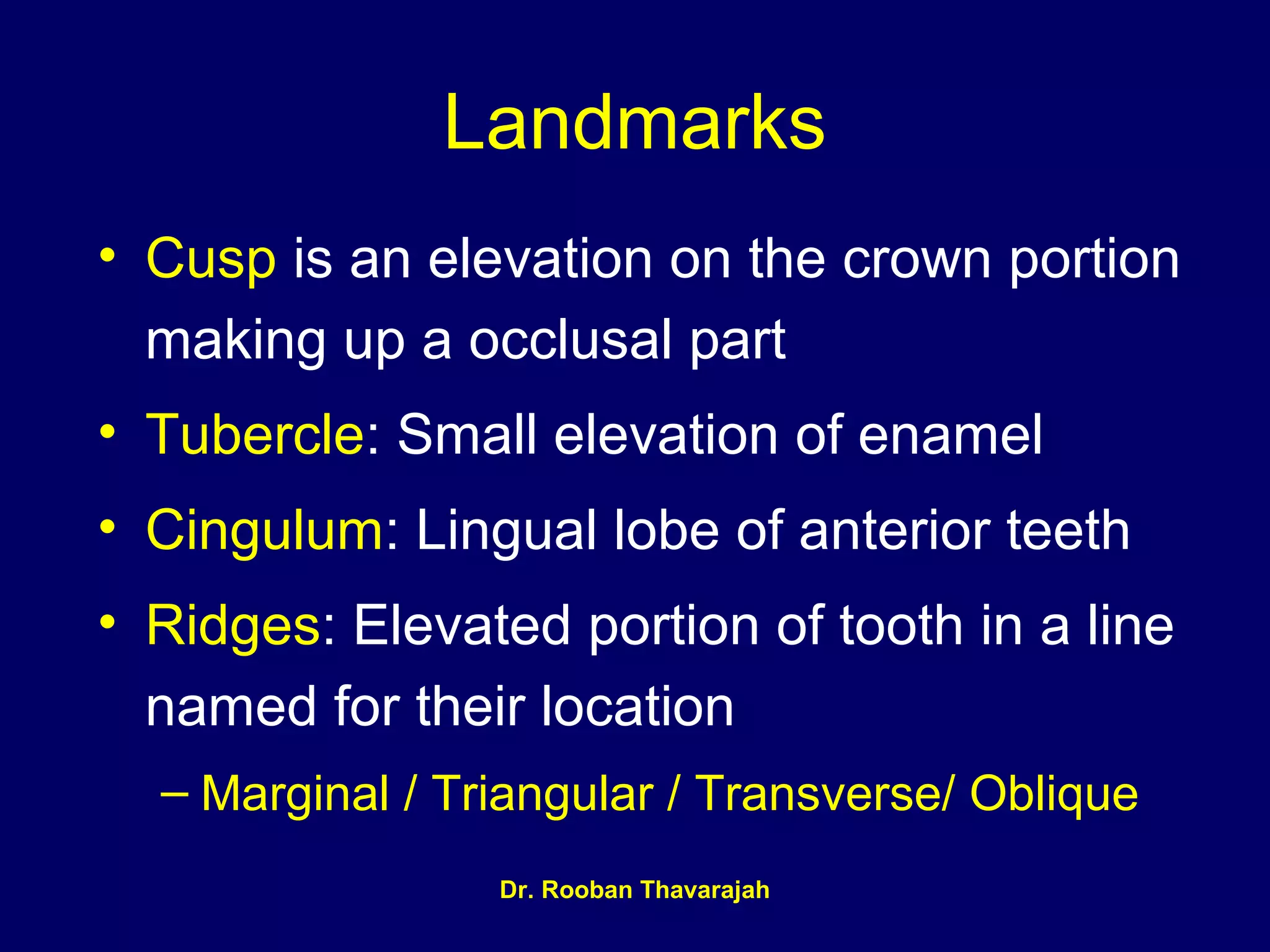 Tooth Morphology - Chapter 1; Part 4 | PPT