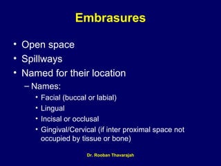 Tooth Morphology - Chapter 1; Part 4 | PPT