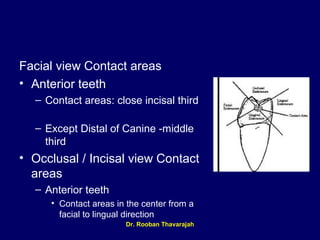 Tooth Morphology - Chapter 1; Part 4 | PPT