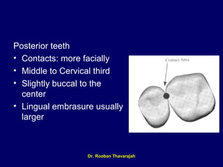 Tooth Morphology - Chapter 1; Part 4 | PPT