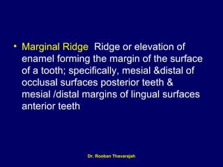 Tooth Morphology - Chapter 1; Part 4 | PPT