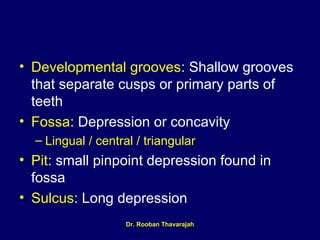 Tooth Morphology - Chapter 1; Part 4 | PPT