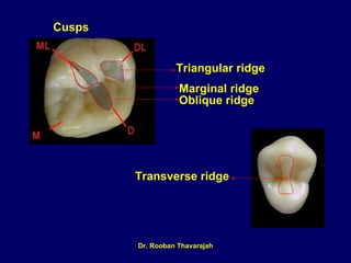 Transverse Ridge