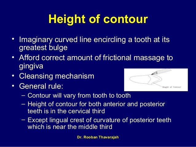 Tooth Morphology - Chapter 1; Part 4